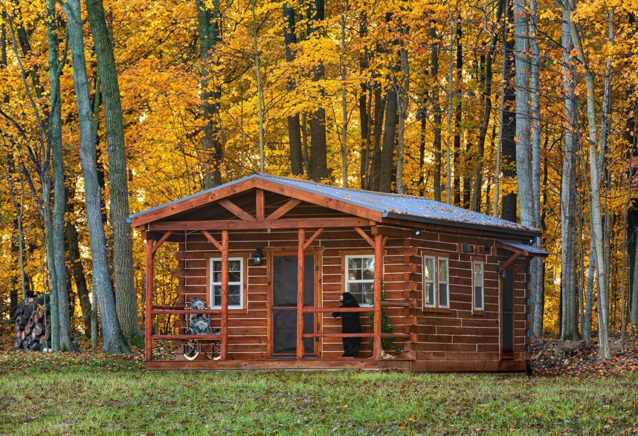 Custom Rustic Cabin Builders & Installation Services in Indiana